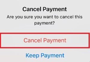 How To Cancel Apple Pay Payment in 3 Steps, With Photos - Greenlit Content