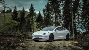Tesla Model 3 Long Range Vs Performance: What’s The Difference ...